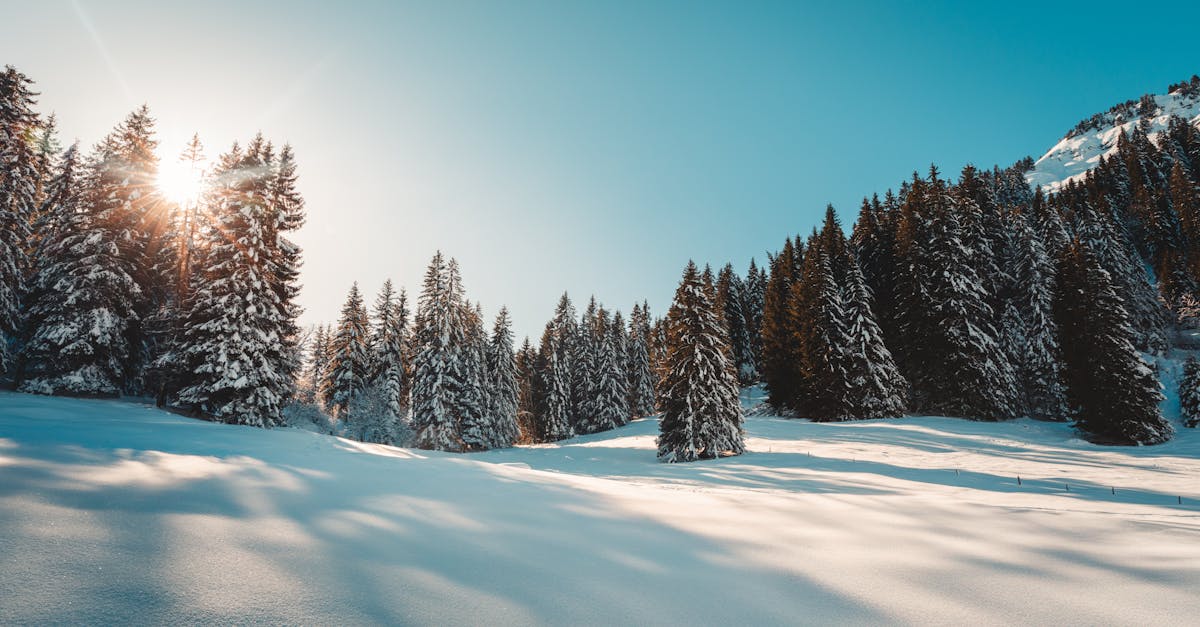 Air-Drying vs Blow-Drying: Which Method Truly Wins the Hair Care Showdown? - Robert Applebaum